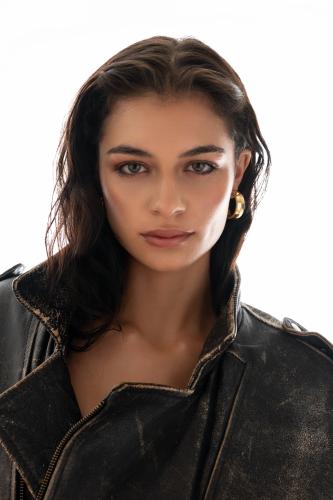 Voices and Models